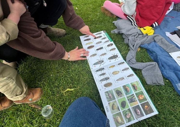 We’re going on a bug hunt – small world